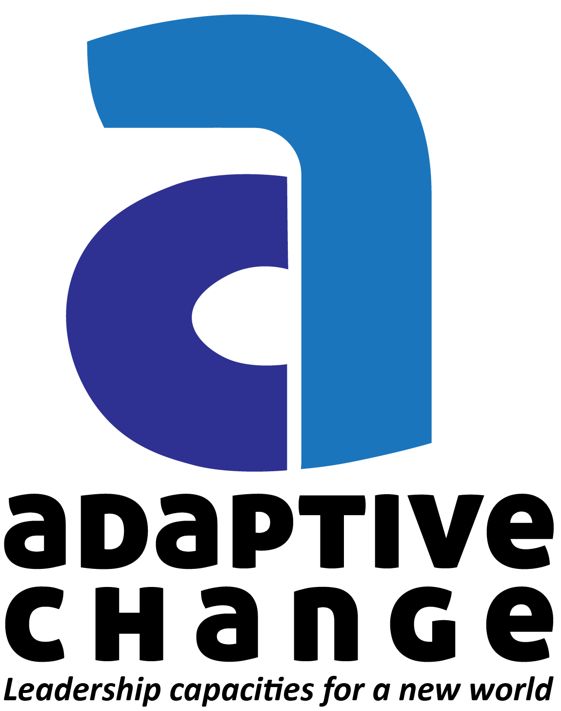 Adaptive Change: Leadership Capacities for a New World :: HOPE Network ...