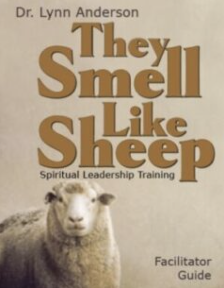 Lynn Anderson’s Books and Resources :: HOPE Network Ministries